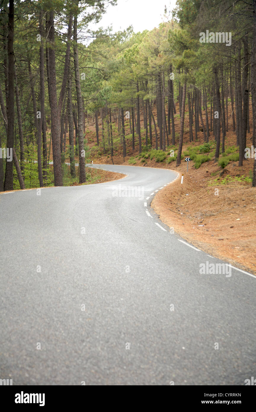 small road through the trees in arenas village spain Stock Photo - Alamy