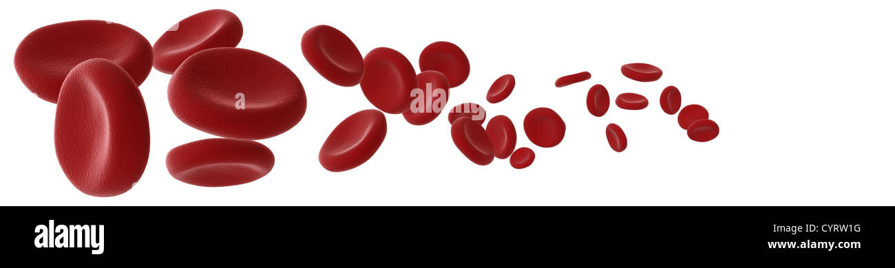 blood cells stream banner Stock Photo - Alamy