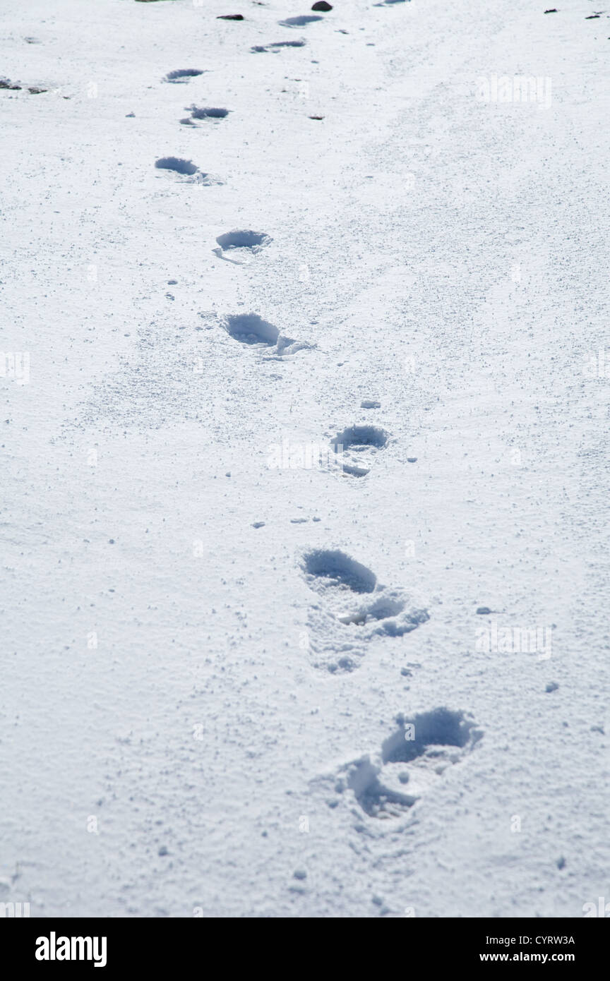 Human steps hi-res stock photography and images - Alamy