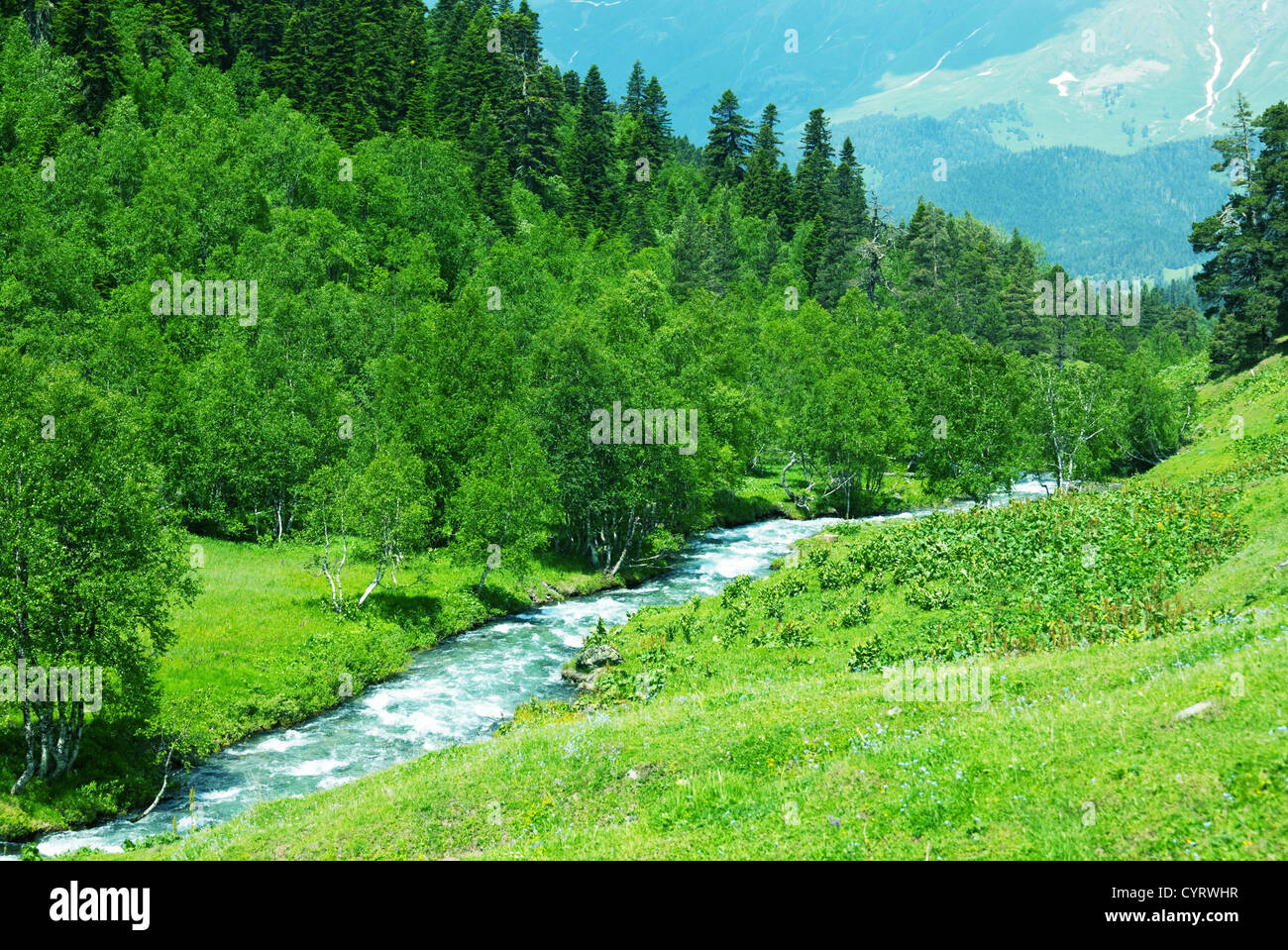 Clean mountain river Stock Photo - Alamy
