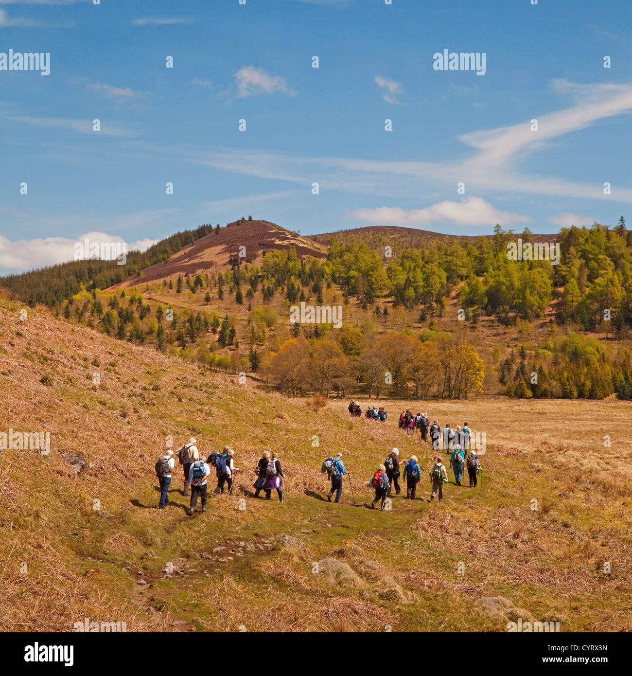 A Rambling Club on the Rob Roy Way through the Menteith Hills between ...
