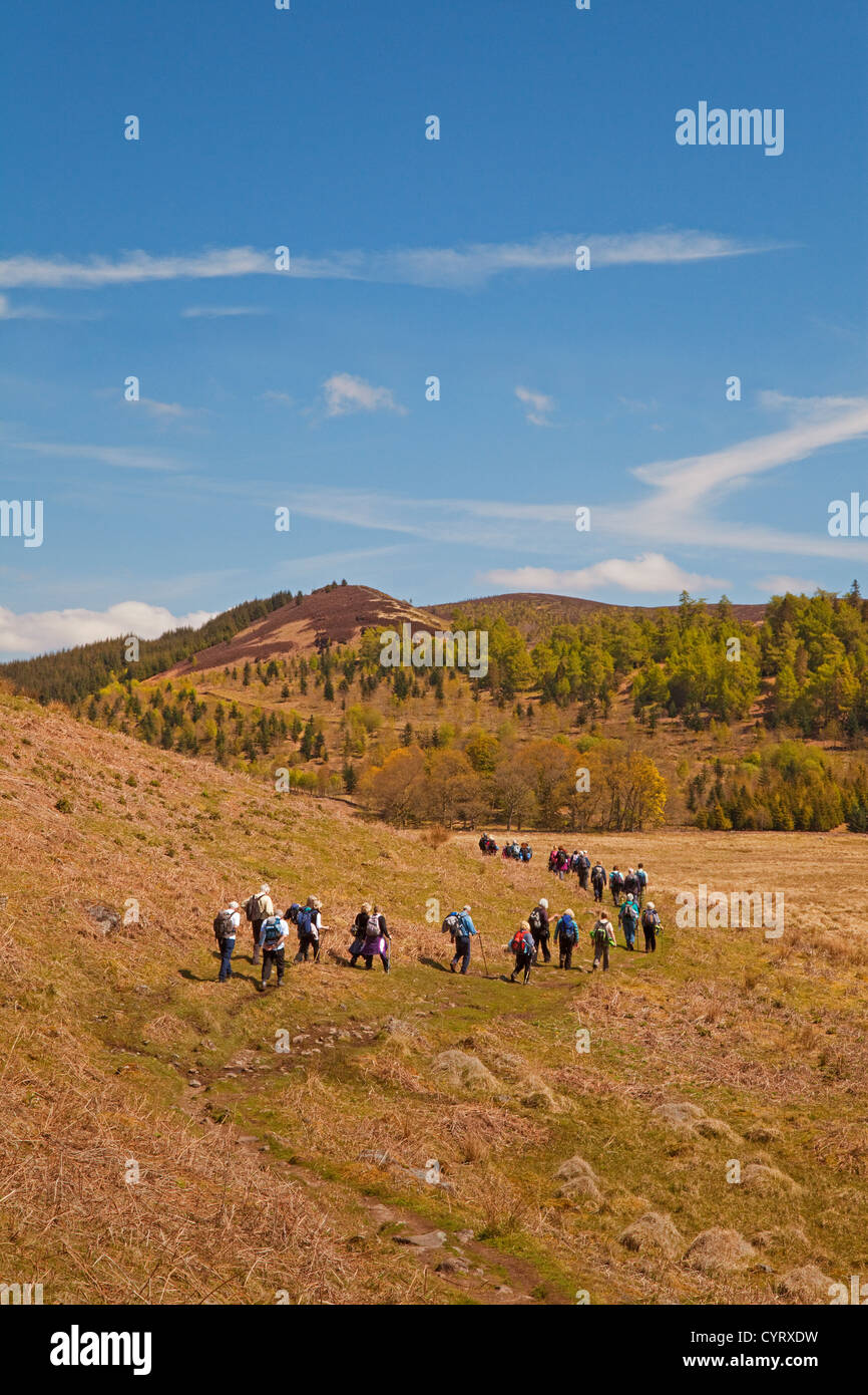 A Rambling Club on the Rob Roy Way through the Menteith Hills between ...