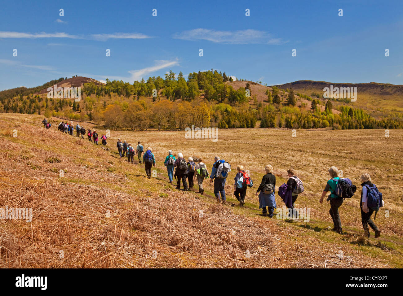 A Rambling Club on the Rob Roy Way through the Menteith Hills between ...