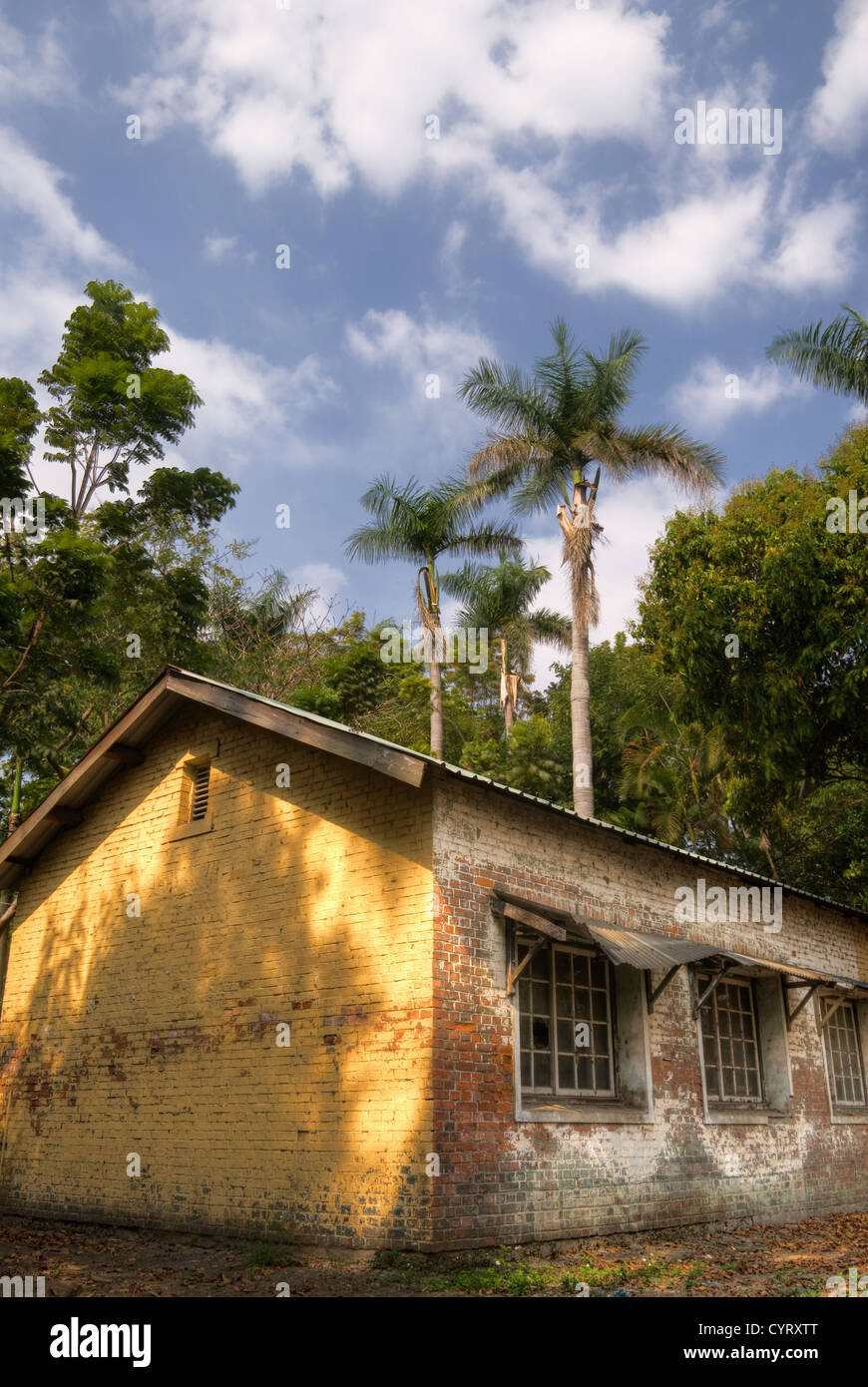 House of discarded in forest under blue sky Stock Photo - Alamy