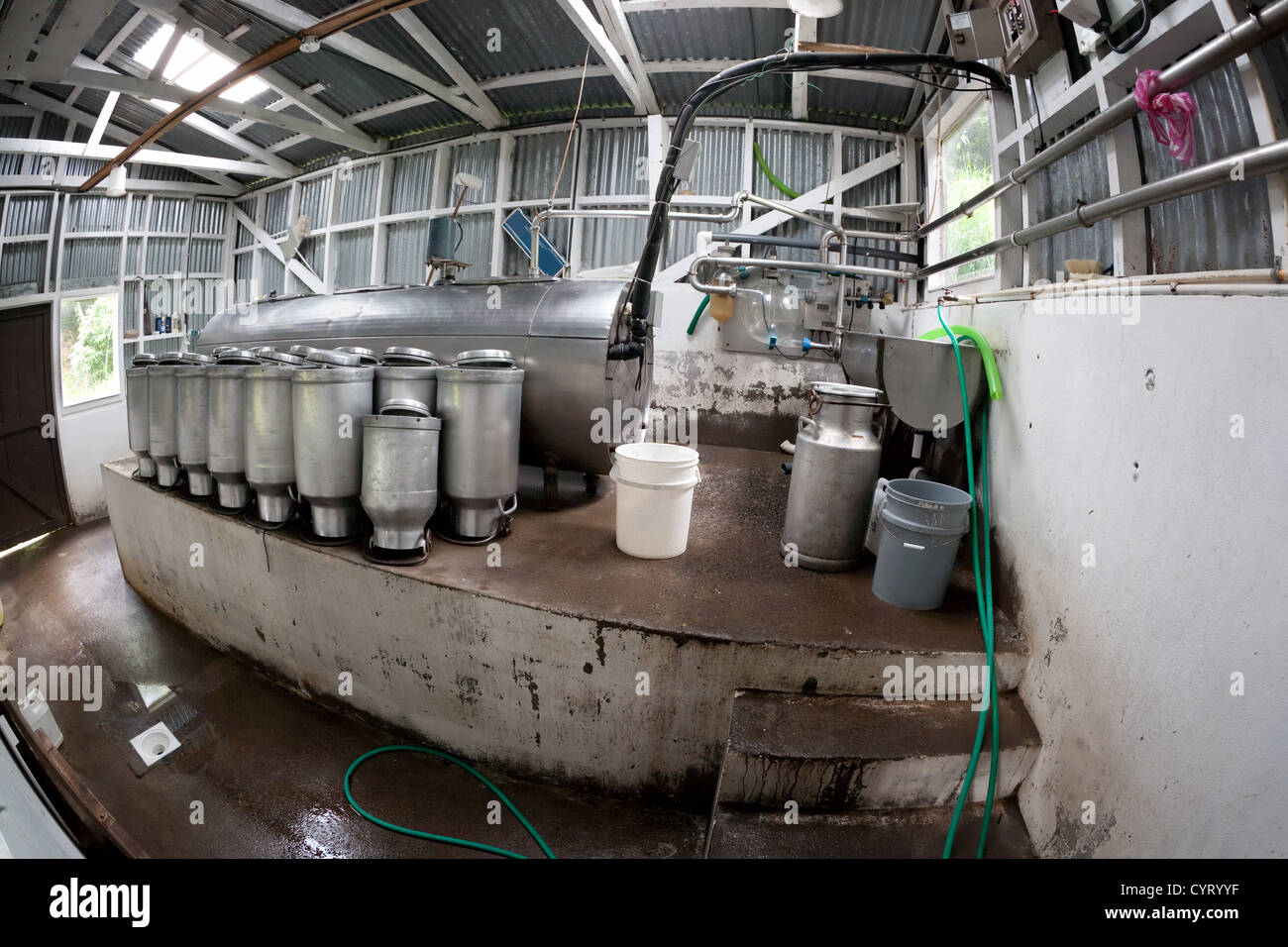 Costa rica dairy farm hi-res stock photography and images - Alamy