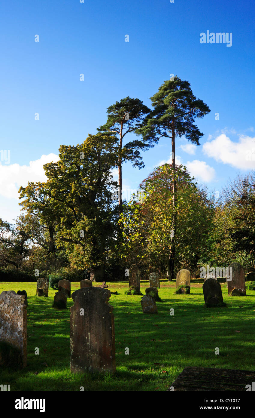 A view of a country churchyard with a backdrop of Scots pines at ...