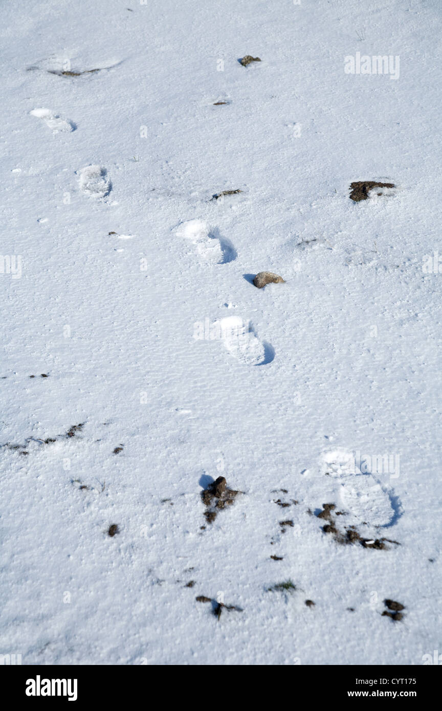 Human steps hi-res stock photography and images - Alamy