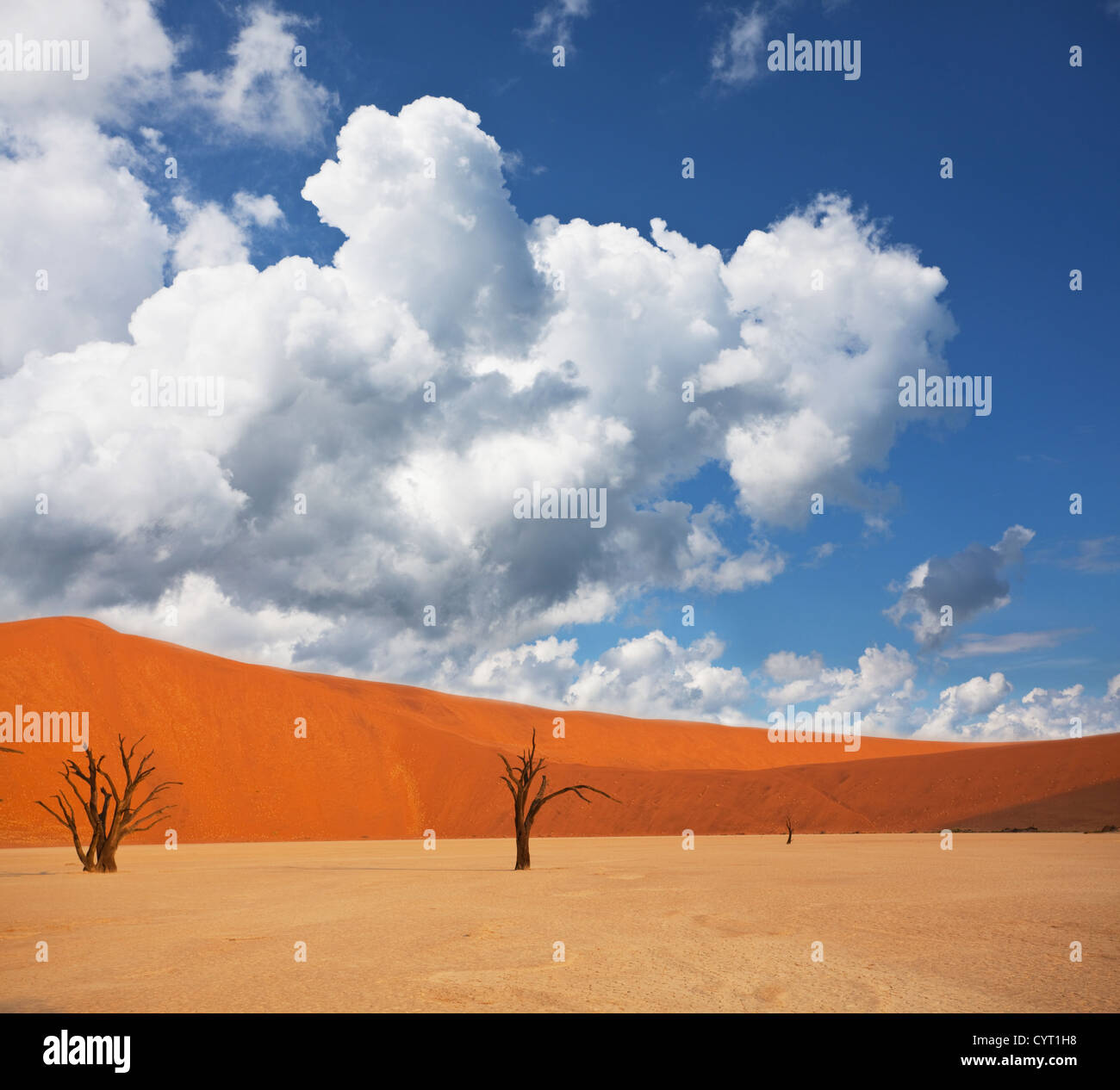 Dead valley in Namibia Stock Photo - Alamy