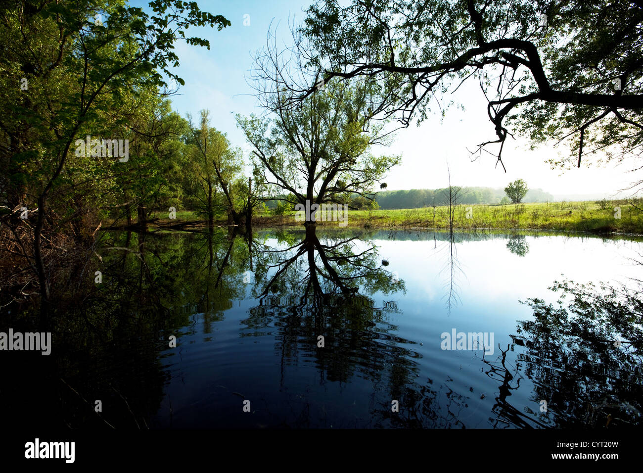 Summer small lake Stock Photo - Alamy