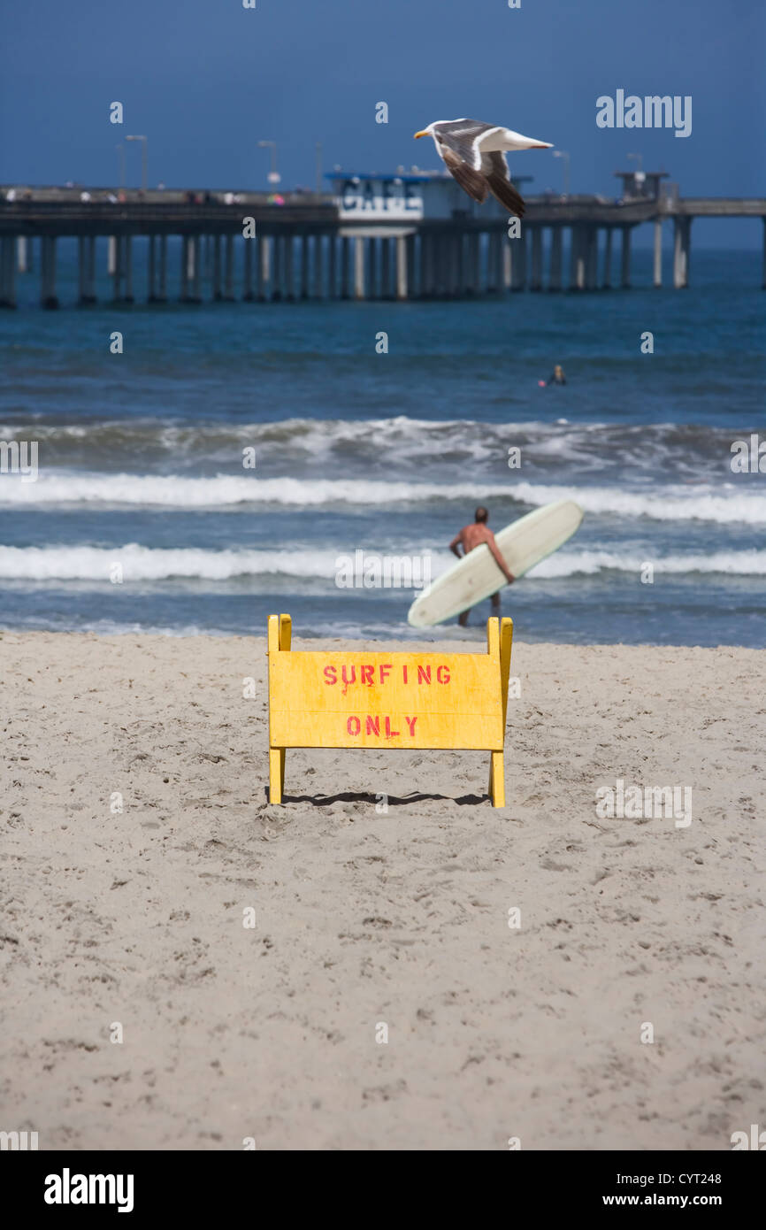 Seagull flying above sign for surfing only Stock Photo - Alamy