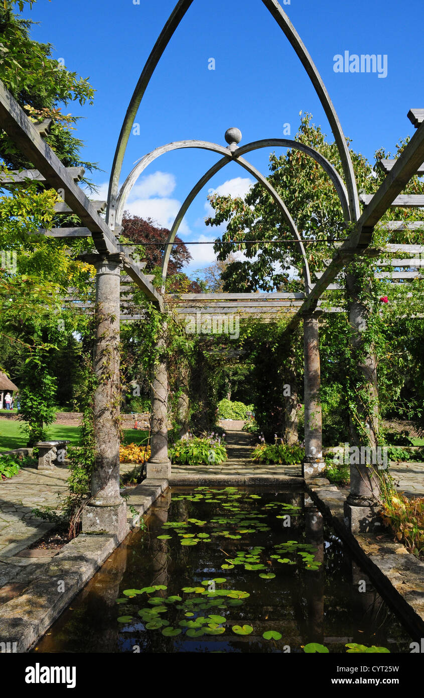 The fish pool within the pergola, West Dean Gardens Stock Photo - Alamy