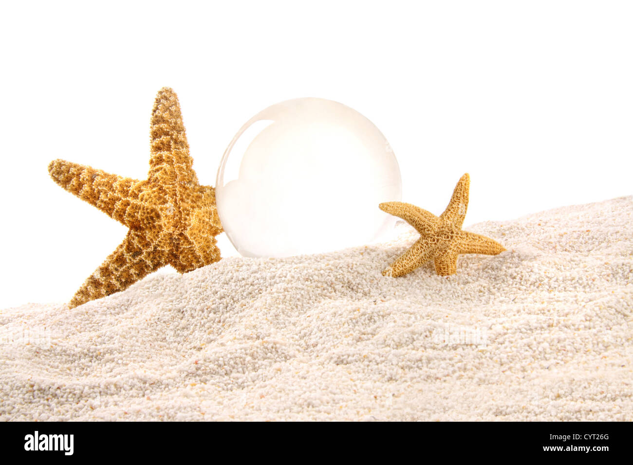 Starfish seashell in water hi-res stock photography and images - Alamy