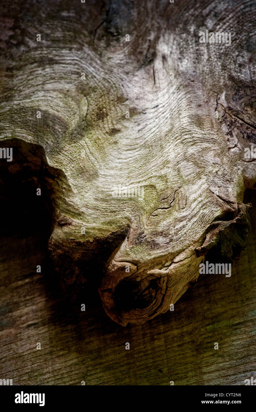 Waney edge oak hi-res stock photography and images - Alamy