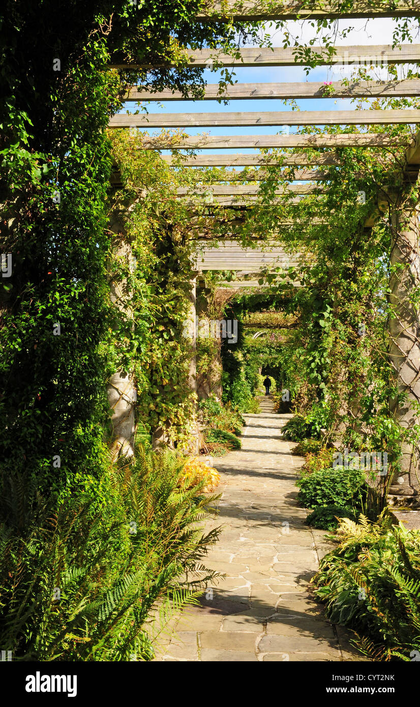 Pergola in the italian garden hi-res stock photography and images - Alamy
