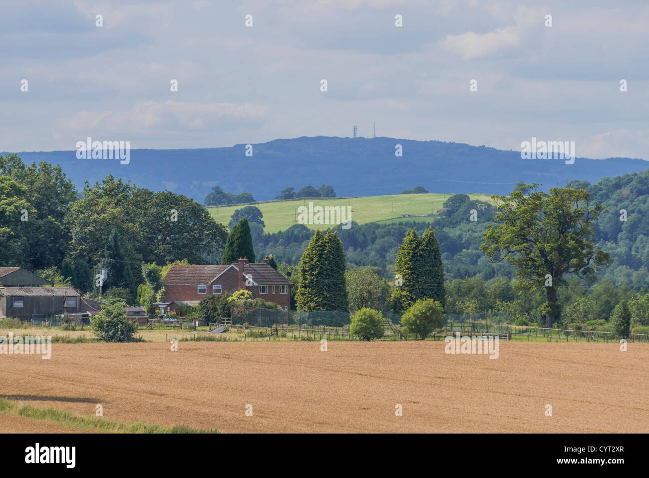 British farm sheep crops hi-res stock photography and images - Alamy