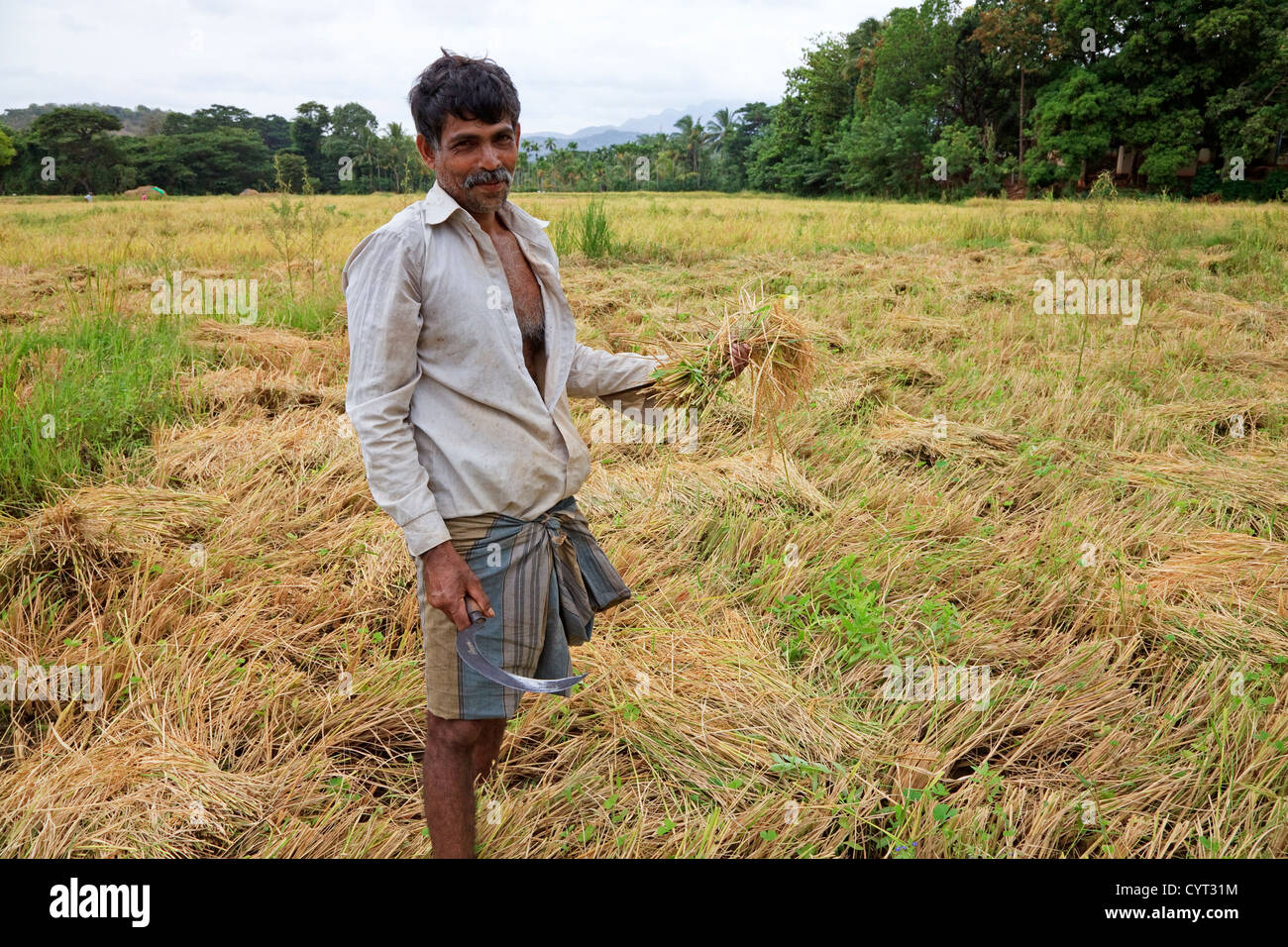 Farmer using sickle High Resolution Stock Photography and Images - Alamy