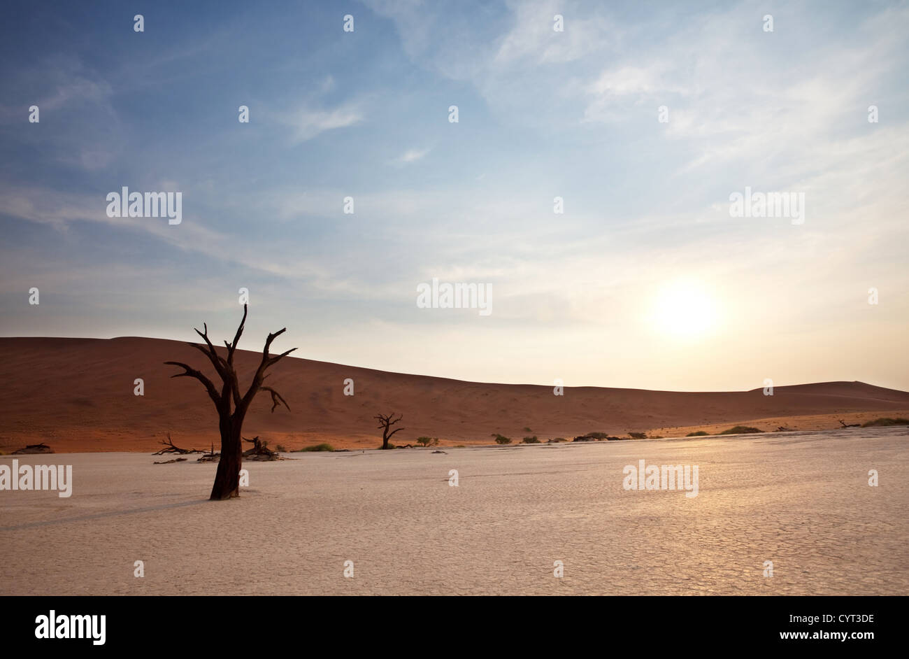 Dead valley in Namibia Stock Photo - Alamy