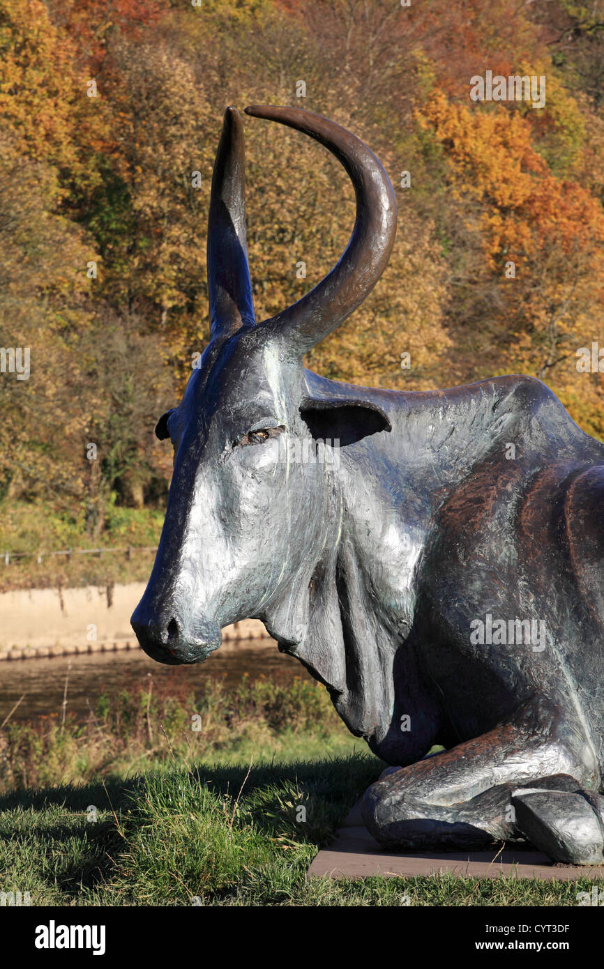 Close up view of the Durham cow sculpture adjacent to the river Wear in ...