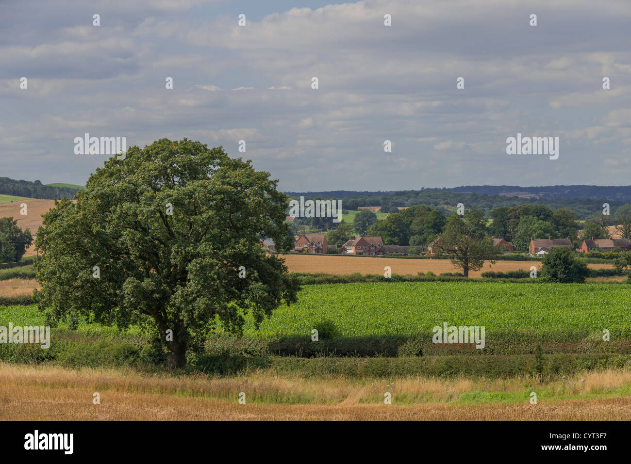 classic english countryside england uk Stock Photo - Alamy