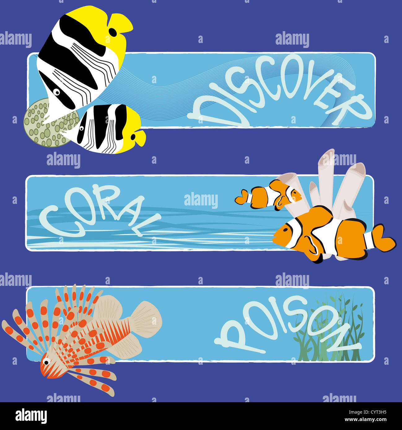 three tropical fish banners no text indicate sea world creatures Stock ...