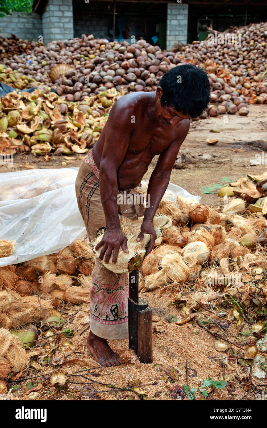 Coconut husk fibre hi-res stock photography and images - Alamy