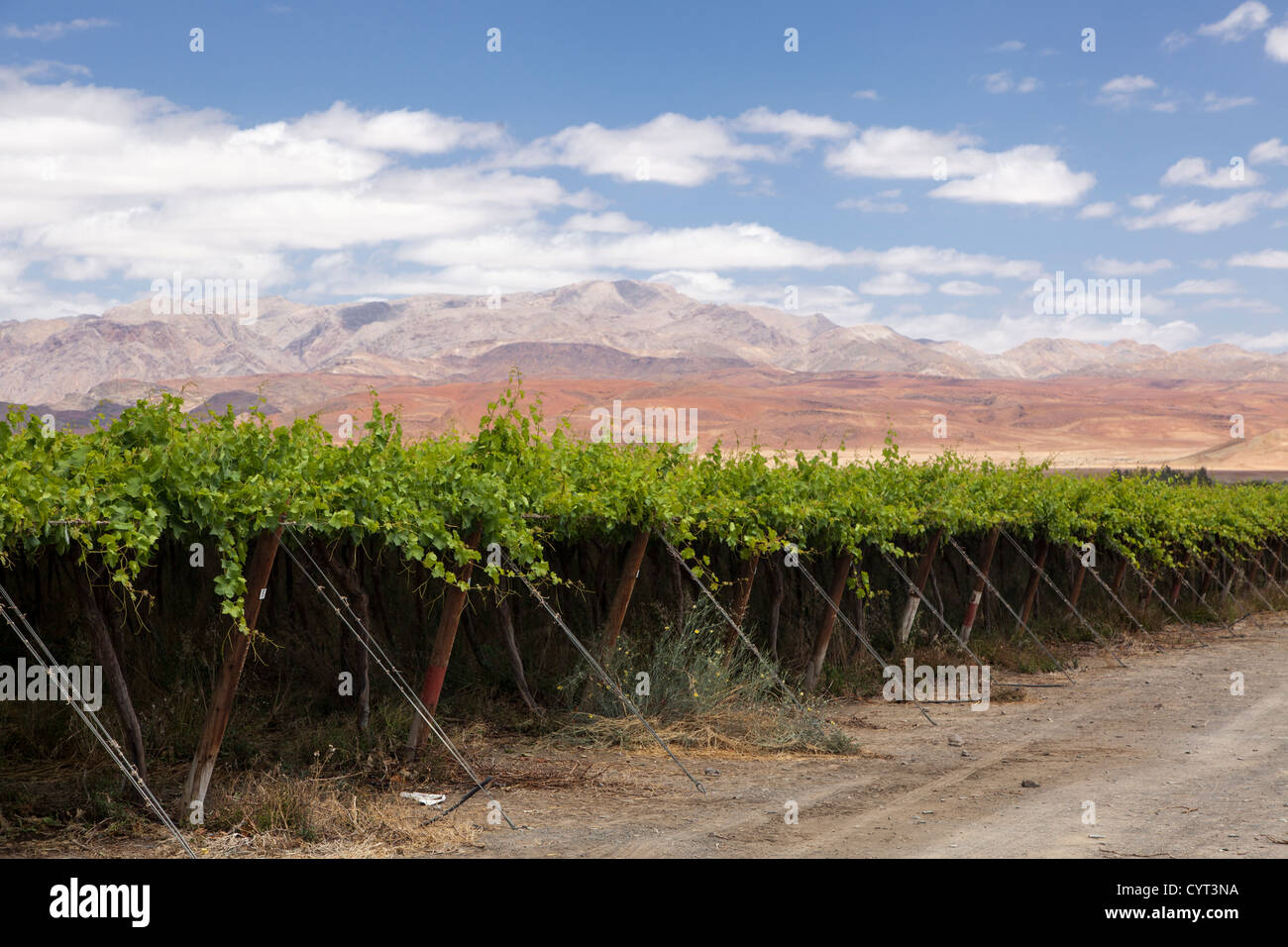 Aussenkehr hi-res stock photography and images - Alamy