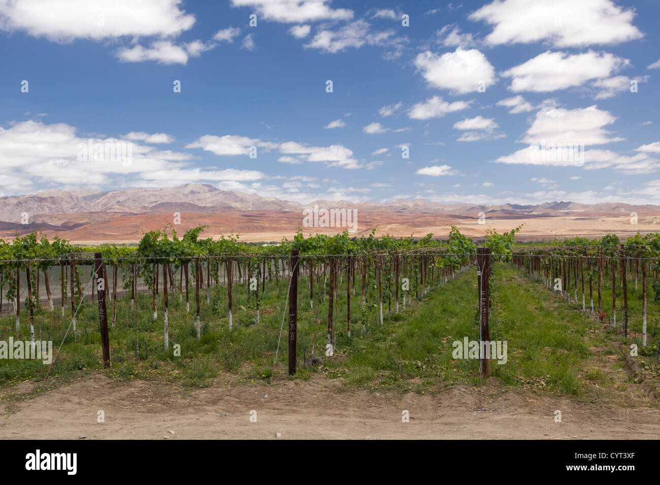 Aussenkehr southern namibia hi-res stock photography and images - Alamy
