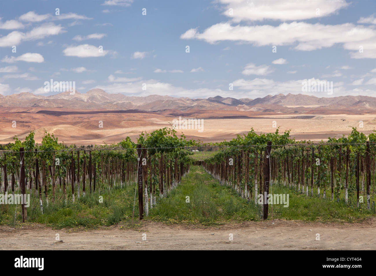 Aussenkehr hi-res stock photography and images - Alamy