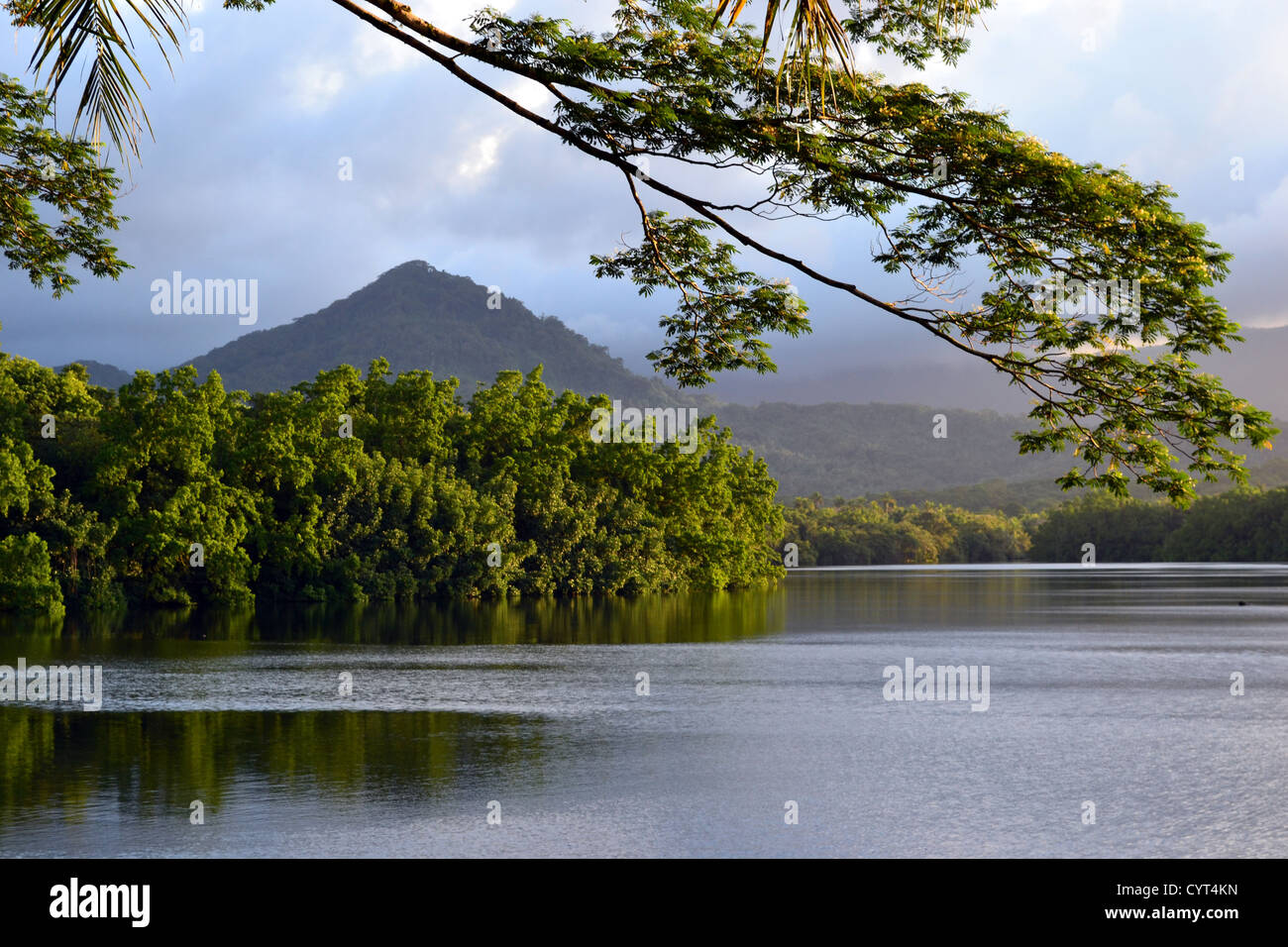 View of lagoon, mangrove and mountains near Kolonia, Pohnpei, Federated ...