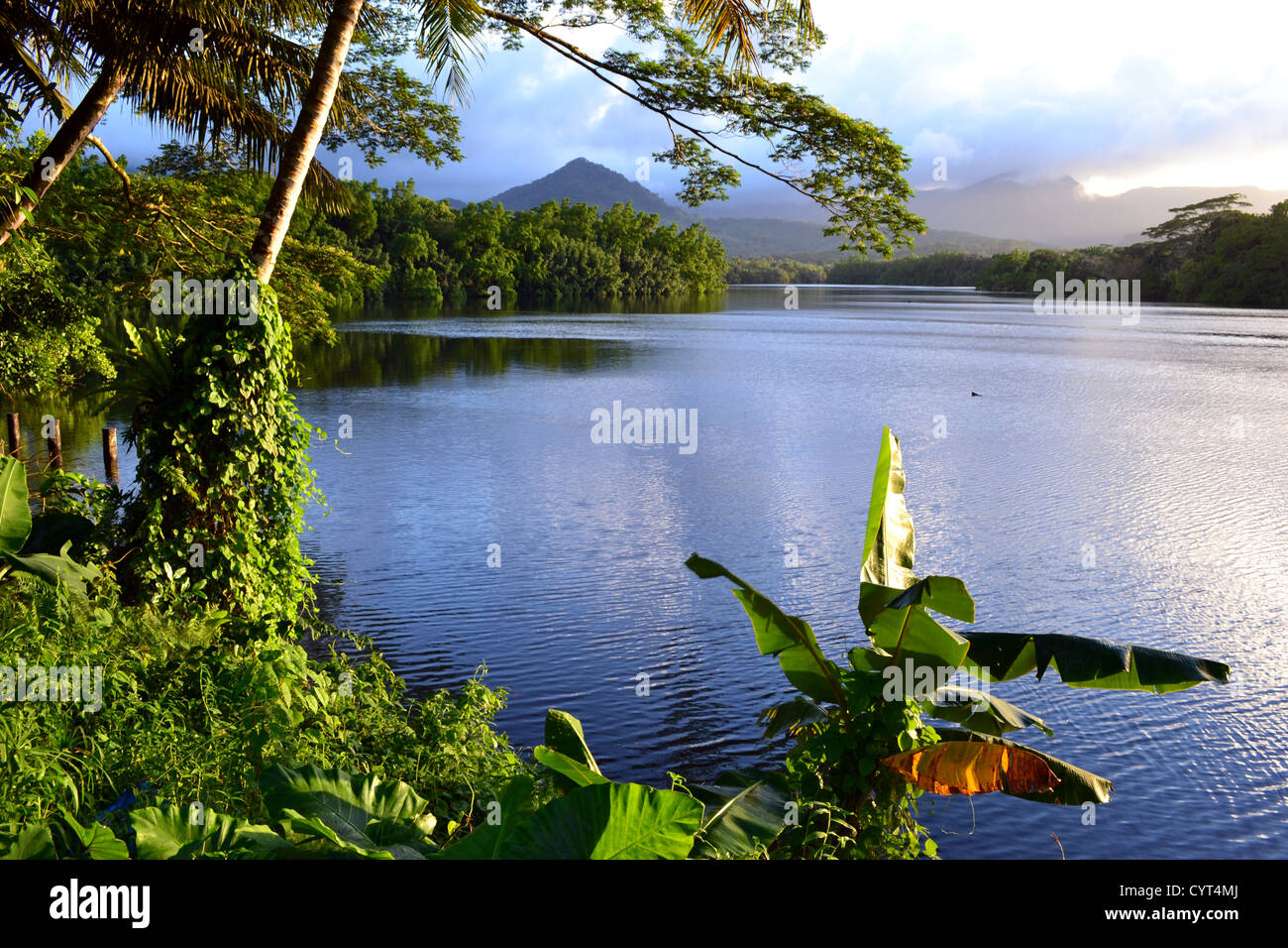 View of lagoon, mangrove and mountains near Kolonia, Pohnpei, Federated ...