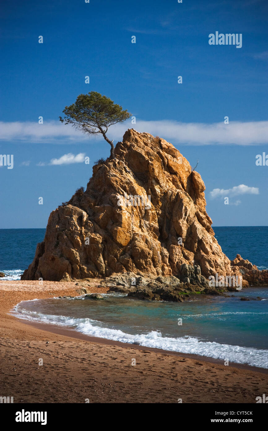 Banyeres de Ses Dones beach. Tossa de Mar (Costa Brava). La Selva ...