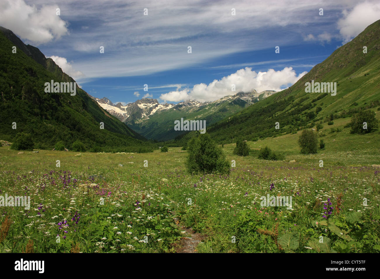 Alpine meadows and glaciers hi-res stock photography and images - Alamy