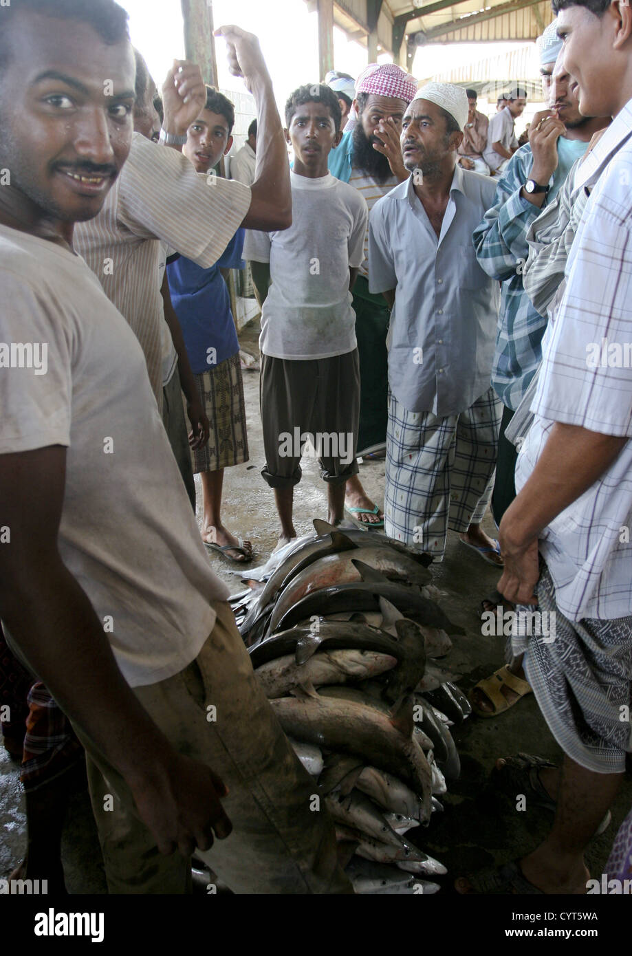 Fishermen Gathering Around A Pile Of Sharks In Al Hodeidah Fish Market ...