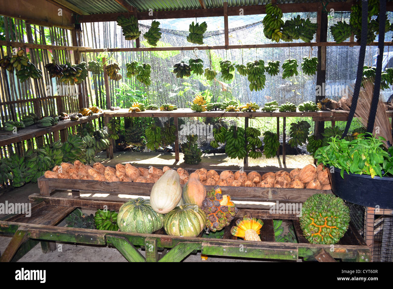 Locally grown vegetables and fruits, Local market, Pohnpei, Federated ...