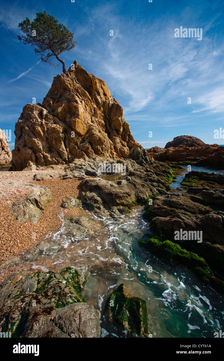 Banyeres de Ses Dones beach. Tossa de Mar (Costa Brava). La Selva ...