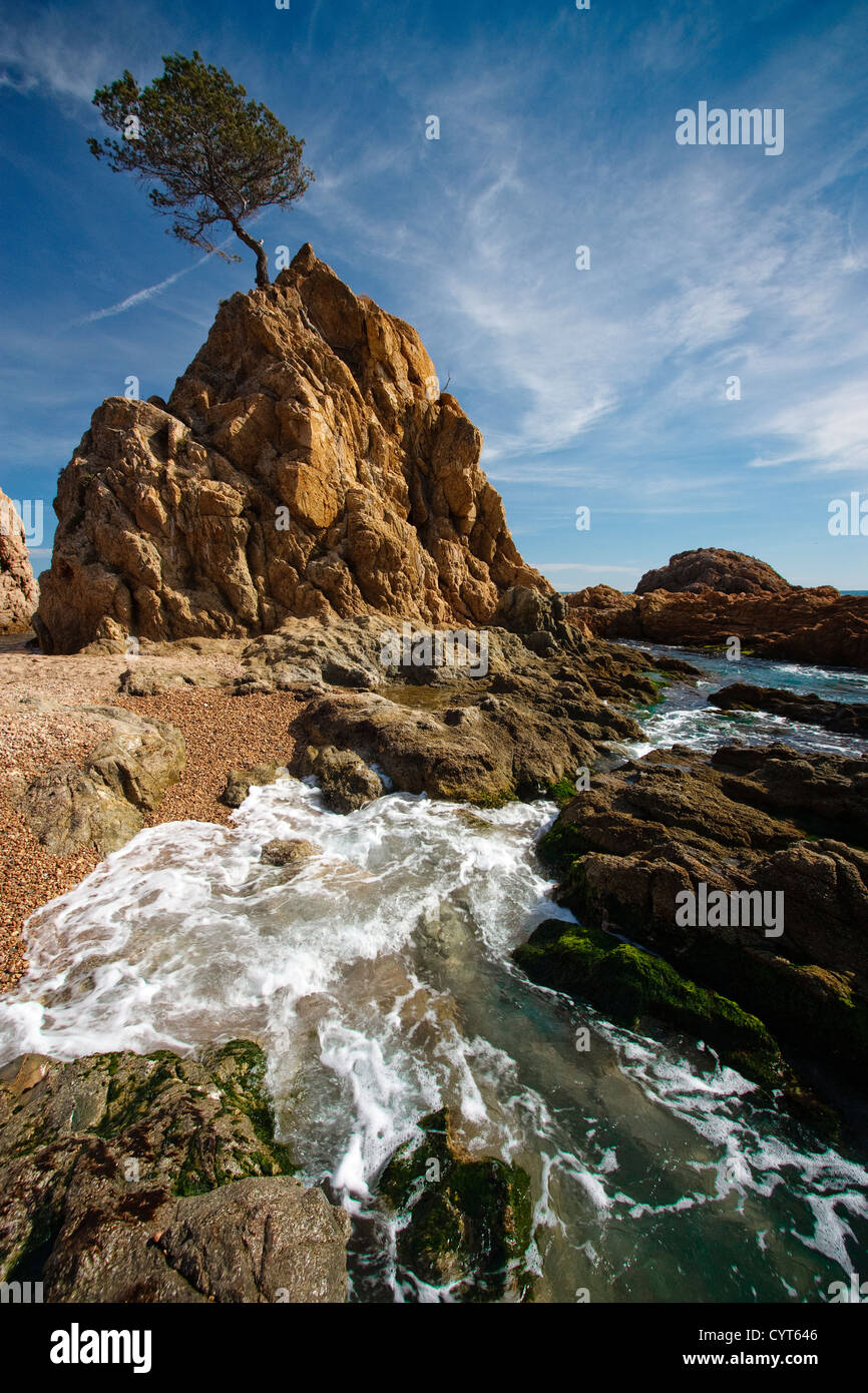 Banyeres de Ses Dones beach. Tossa de Mar (Costa Brava). La Selva ...