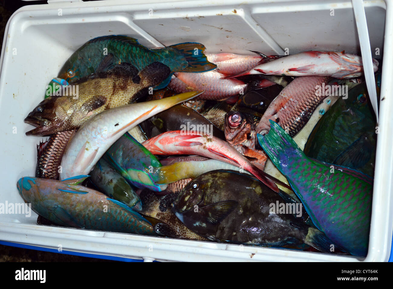 Pohnpei Market High Resolution Stock Photography and Images - Alamy