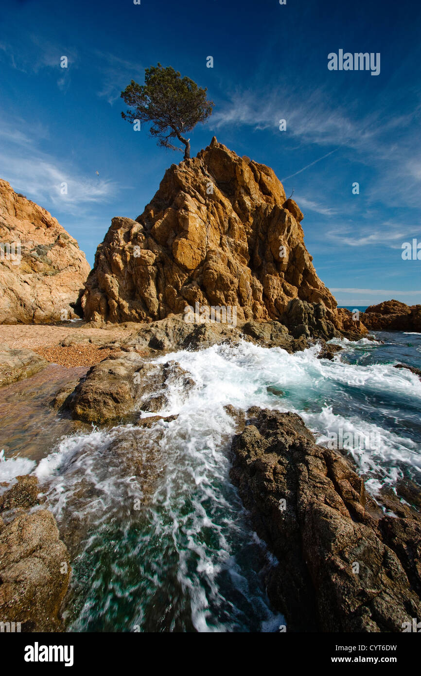 Banyeres de Ses Dones beach. Tossa de Mar (Costa Brava). La Selva ...