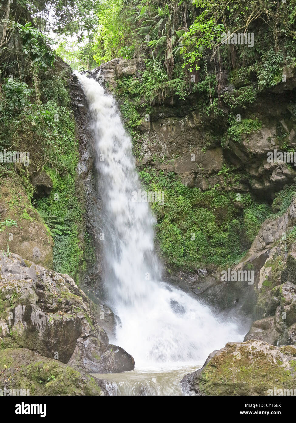 Kilasiya Waterfall at Mount Kilimanjaro Tanzania East Africa Africa ...