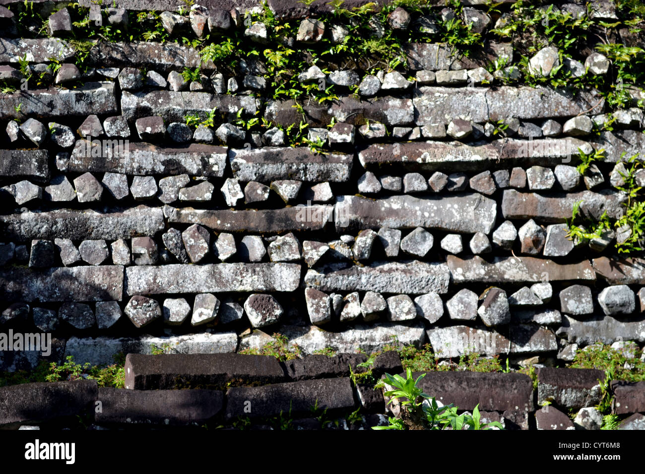 Ruins at the city of Nan Madol, the "Venice of the Pacific ...