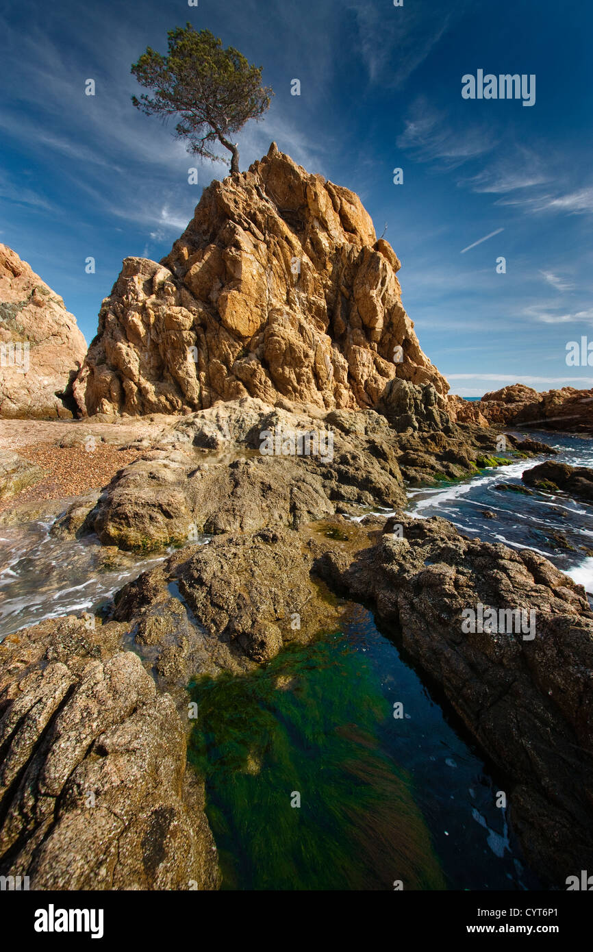 Banyeres de Ses Dones beach. Tossa de Mar (Costa Brava). La Selva ...