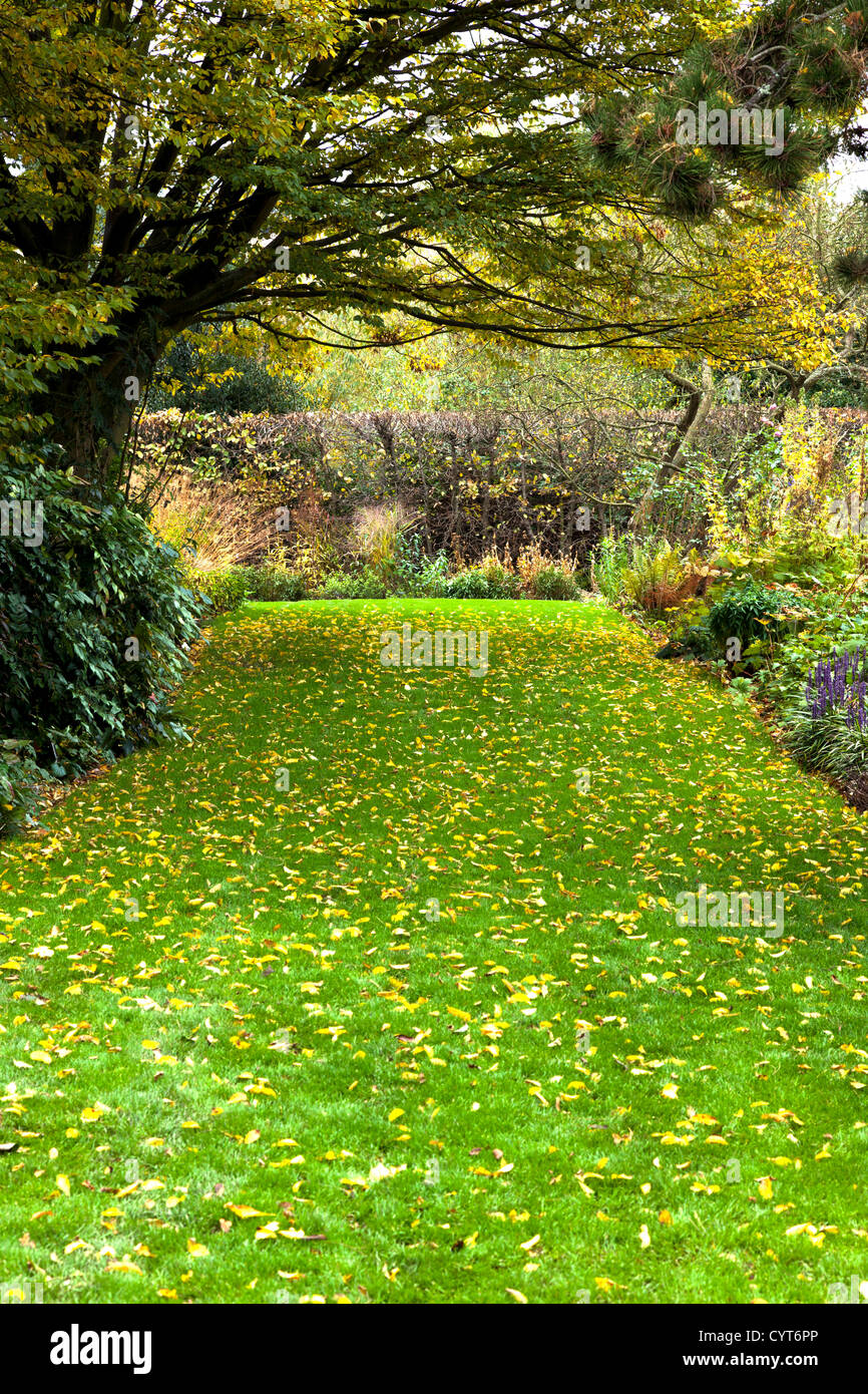 Grass Path Through Garden with Autumn Leaf Fall Stock Photo - Alamy