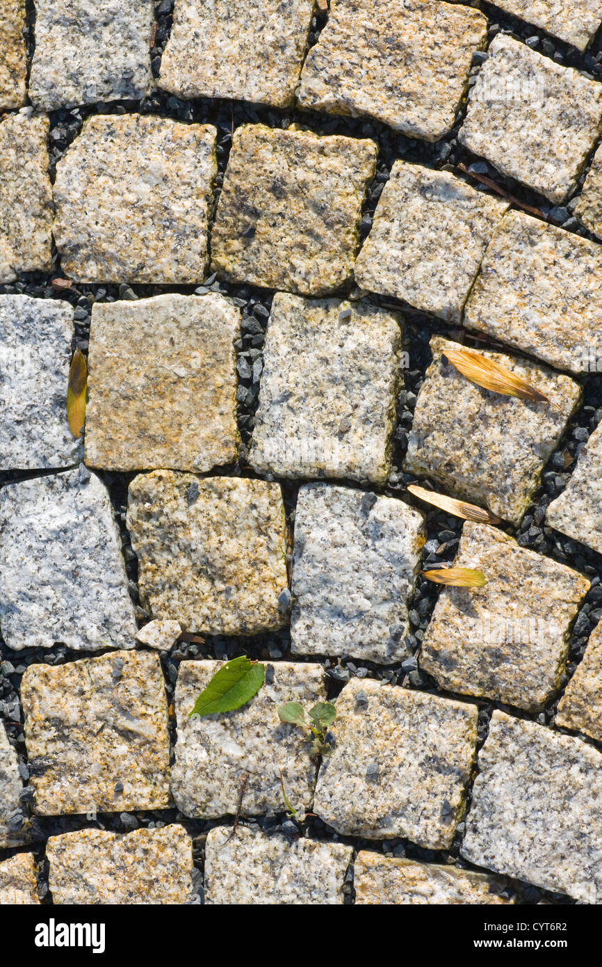 Paving stones texture Stock Photo - Alamy