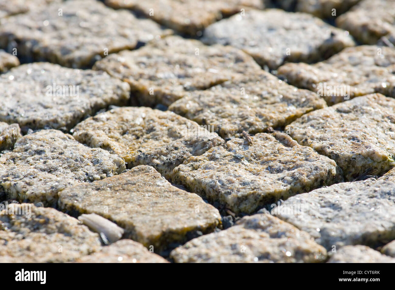 Paving stones texture Stock Photo - Alamy