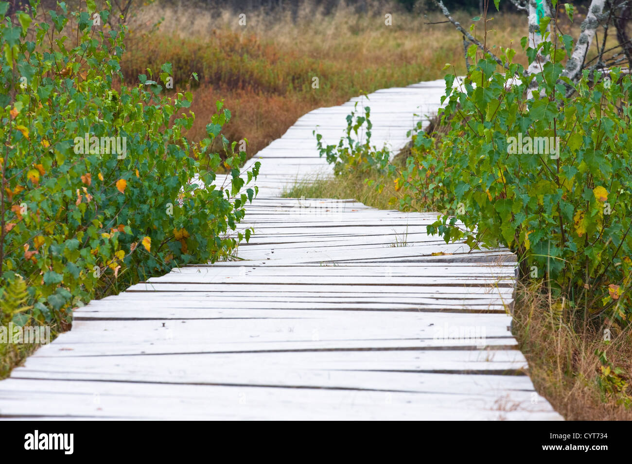 wooden foot bridge Stock Photo - Alamy