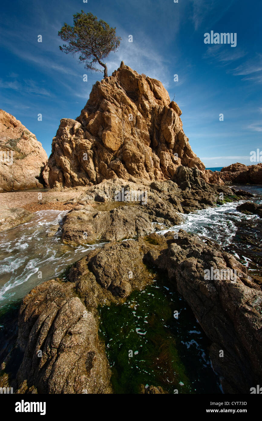 Banyeres de Ses Dones beach. Tossa de Mar (Costa Brava). La Selva ...