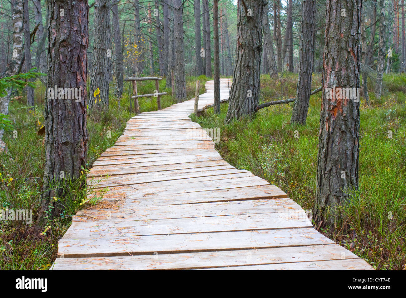 Wooden foot bridge Stock Photo - Alamy