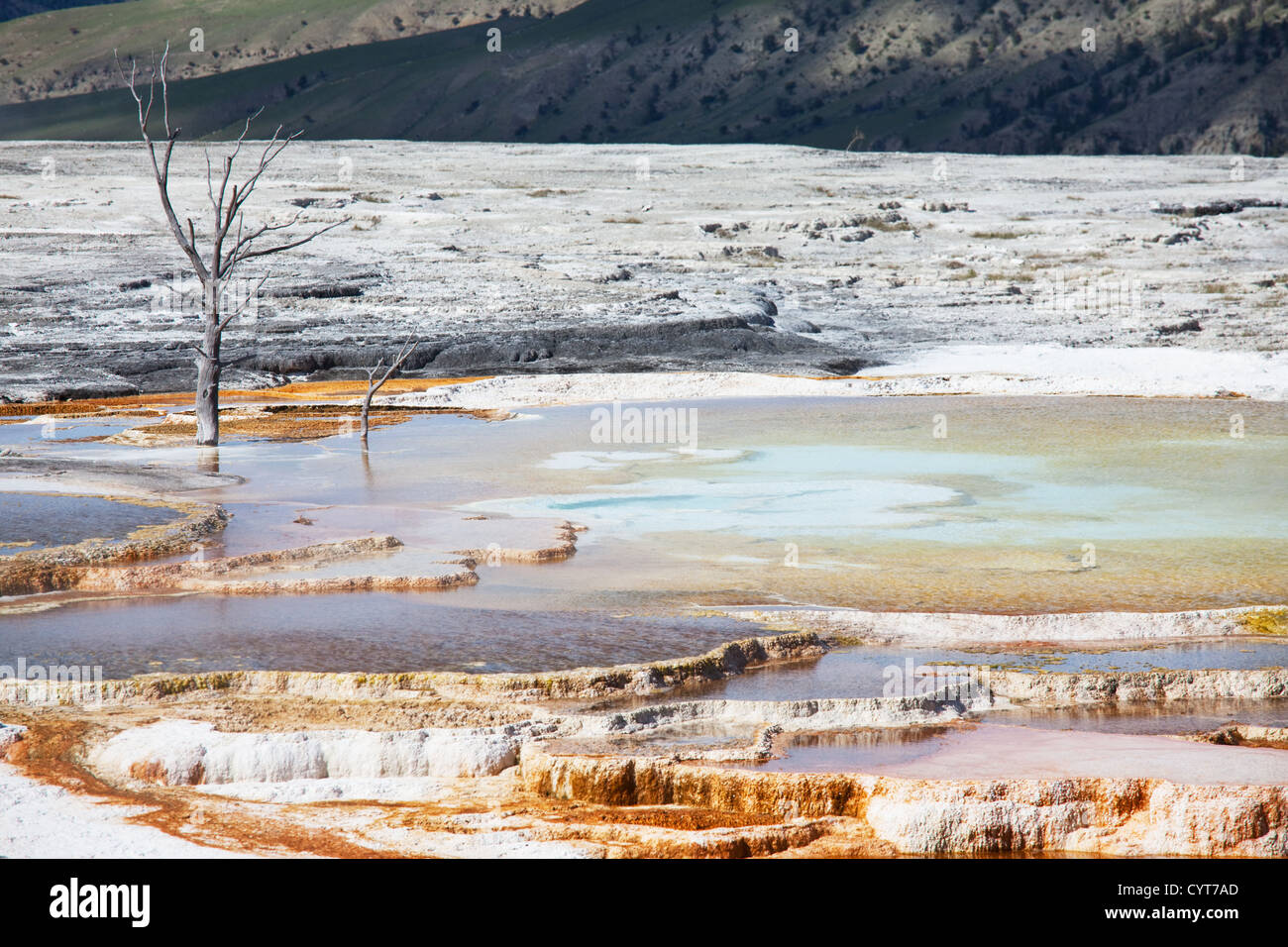 Mammoth Hot Spring Stock Photo - Alamy