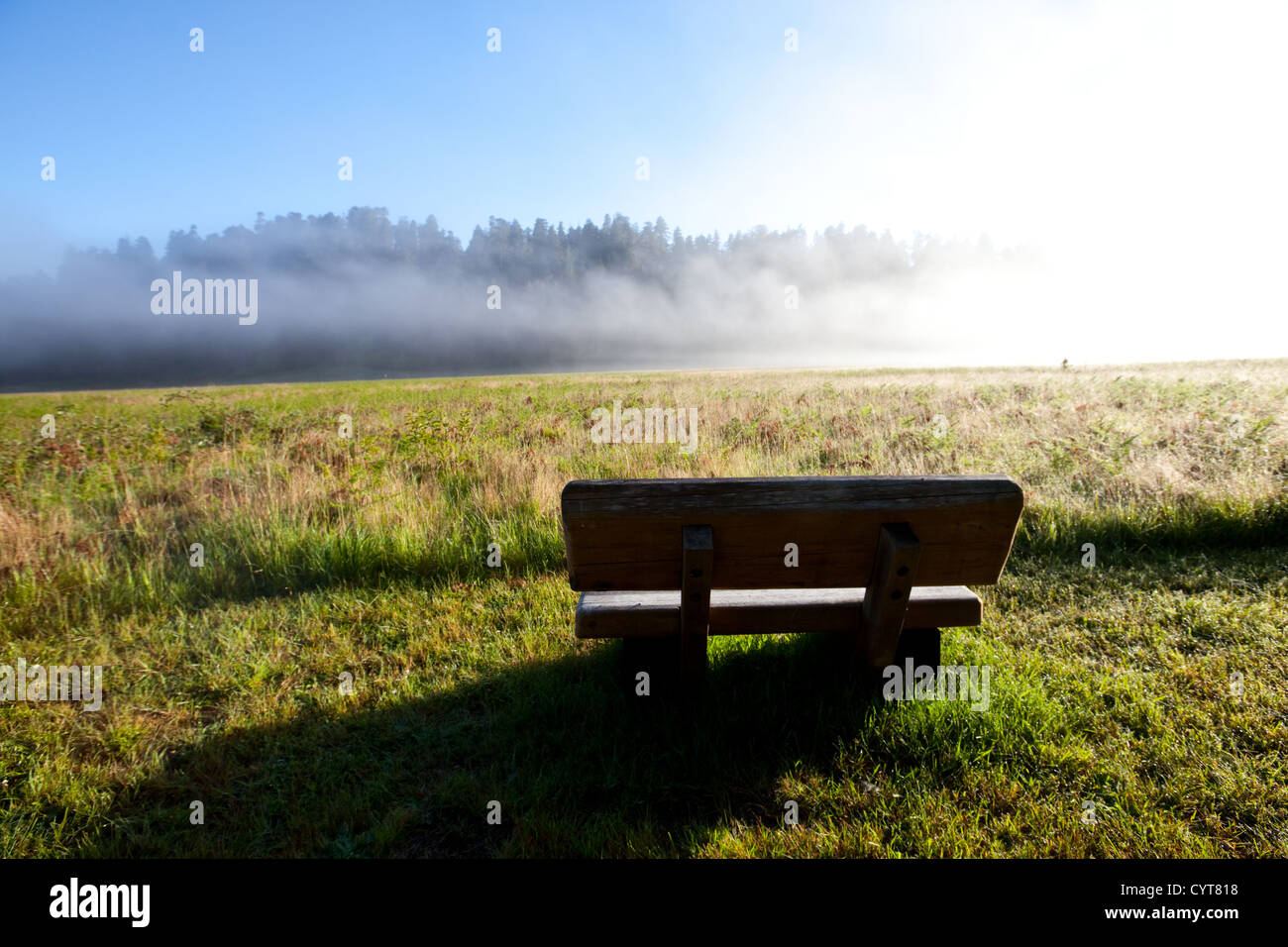 bench on grassland Stock Photo - Alamy
