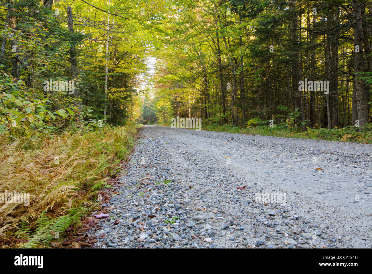 Gale river loop road hi-res stock photography and images - Alamy